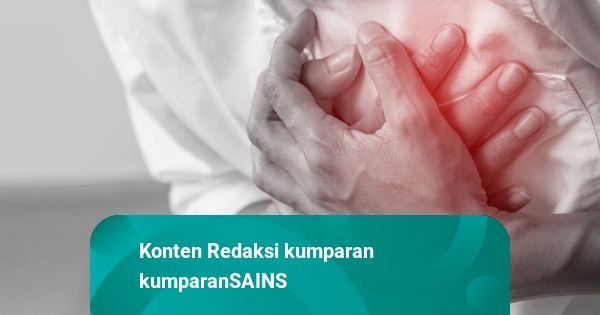 Waspada Fibrilasi Atrium, Gangguan Detak Jantung yang Sebabkan Stroke ... Waspada Fibrilasi Atrium, Gangguan Detak Jantung yang Sebabkan Stroke ...